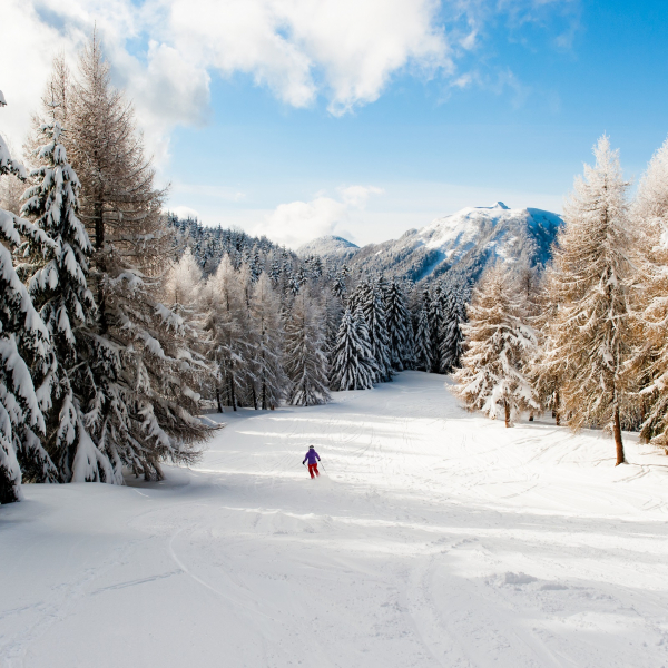 Vous voulez voir la neige ? • À la lyonnaise